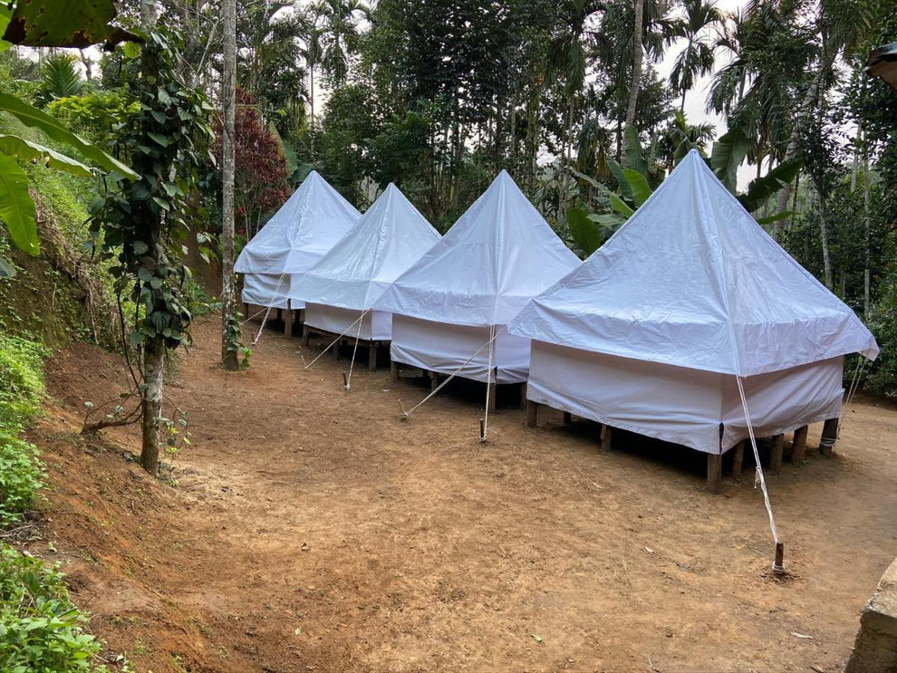 Lakeshore Forest Tent Stay – Tripnett